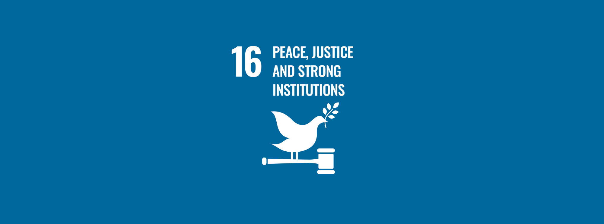 Goal 16 Peace, Justice and Strong Institutions | Undip Initiatives for ...
